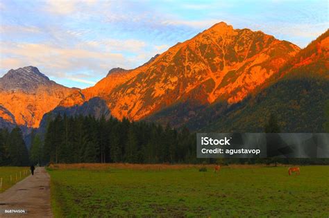 흙 나라도로 경로 골드 컬러가 극적인 티 롤 산 파노라마와 목가적인 롤 메도우 오스트리아 Haflinger신랑 둘러봅니다 산맥 근처 고산 풍경에서와 독일에서 바이에른 알프스