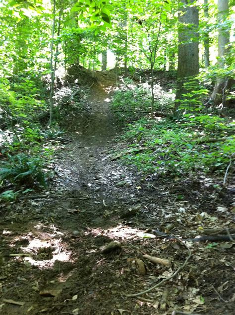 Untitled John Lange Flickr