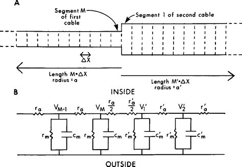 Figure 1 From A Numerical Method To Model Excitable Cells Semantic Scholar