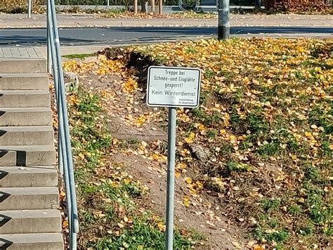 Camera Test Google Pixel A Vs Poco X Vs Iphone Se Vs Oneplus Nord Vs Moto G Plus