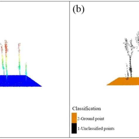 The Comparison Chart Before And After Point Cloud Filtering A Point