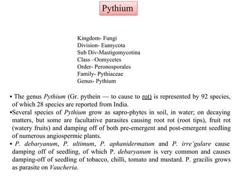 Ppt Presentation For B Sc I Life Cycle Of Pythium 1 Pdf