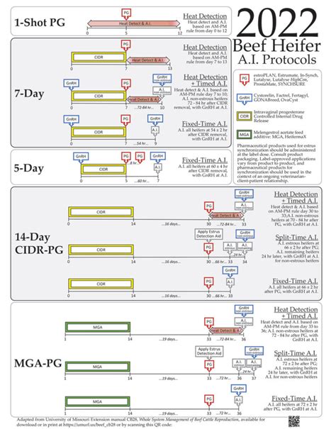 Beef Heifer Synch Protocols Select Sires Beef