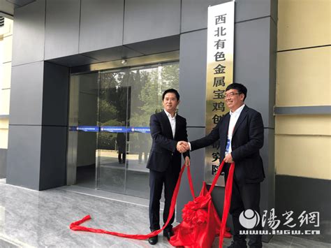 西北有色金属宝鸡创新研究院揭牌成立 建设 合作 产业
