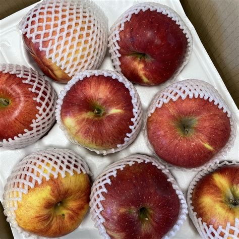 사무국에 가을이 왔어요 몽당연필 소식 조선학교와 함께하는 사람들 몽당연필