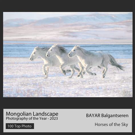 Монгол орны гоо үзэсгэлэнг харуулсан бүтээлүүдээр үзэсгэлэн гаргалаа Hunnu Mn