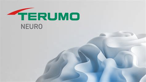 Web™ Embolization System Terumo Neuro