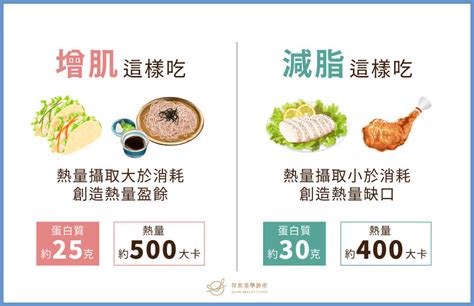 如何增肌減脂？醫師教增肌減脂飲食菜單及運動3大原則關鍵