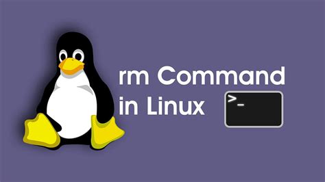 Rm Command In Linux Learn How To Remove Files And Directories By
