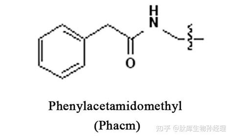半胱氨酸保护基s Phenylacetamidomethyl Phacm的合成及应用 知乎