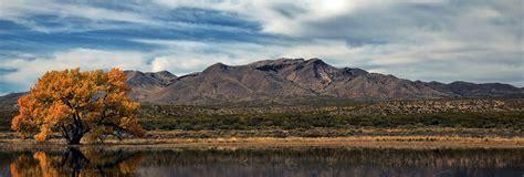 Sustained Casing Pressure And Gas Bubbles Successfully Eliminated In Permian Basin Well