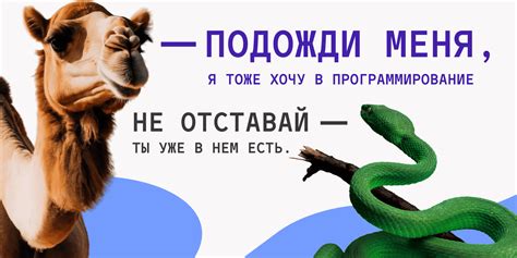 Нотации в программировании Правила именования для чего нужны