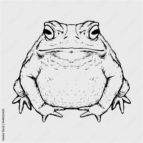 Toad Outline Frog Toad Svg Etsy