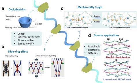 Cyclodextrins‐based Polyrotaxanes For Multiple Functional Materials And Download Scientific