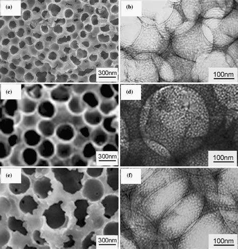 SEM Images Of A HPC 242 C HPC 353 And E HPC 420 TEM Images Of B Download Scientific Diagram