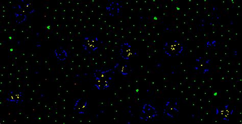 GitHub MoeHippo76 Primordial Particle System