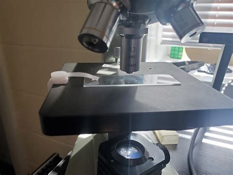 Microscope Slide Holder Leaf Spring Par Johna Téléchargez