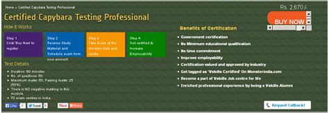 Certified Capybara Testing Professional Vskills Certification At ₹ 3500pack New Delhi Id