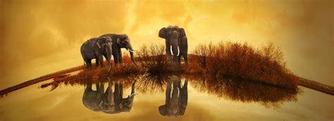 What Postgresql Has Over Other Open Source Sql Databases Part Ii Rpostgresql