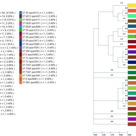 Minimum Spanning Tree Constructed By Goeburst Based On The Mlst Data Of
