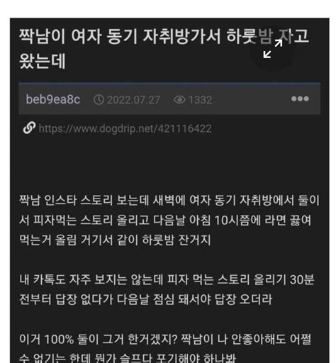 썰 유머 꿀팁에 있는 핀