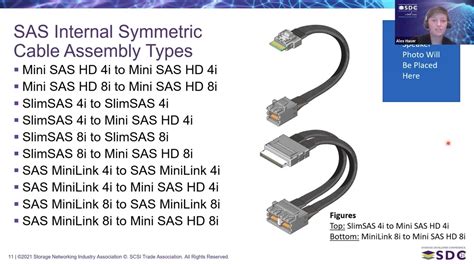 Mini Sas Cable Pinout At Blake Corlis Blog