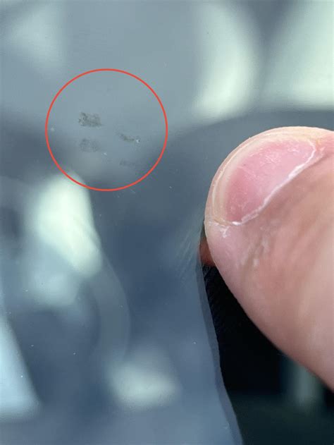 Is This A Rock Chip Or Stuck On Bug Guts Rcarrepair Is This A Rock Chip Or Stuck On Bug Guts Rcarrepair