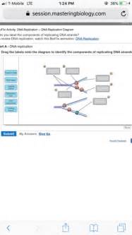 Solved T Mobile LTE 36 D 1 24 PM A Session Masteringbi Chegg Com