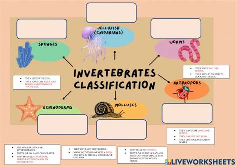 Invertebrates Classification Worksheet
