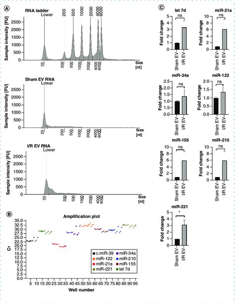 Qpcr Quality Control Agilent Bioanalyzer Rna Chip