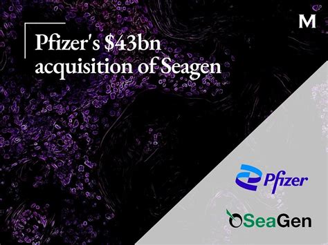 Pfizers 43bn Acquisition Of Seagen
