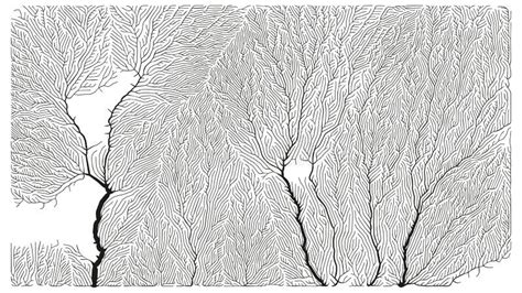 Growth Pattern Generative Branching Structure Organic Net Of Vessels Texture Stock Vector