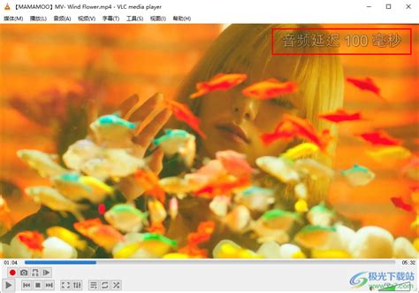 Vlc Media Player怎么解决音画不同步？ Vlc Media Player解决音画不同步的方法 极光下载站