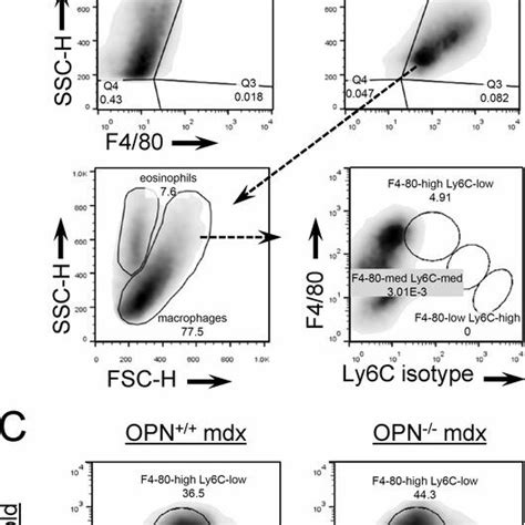 Evaluation Of Macrophage Polarization By Cell Sorting And Facs
