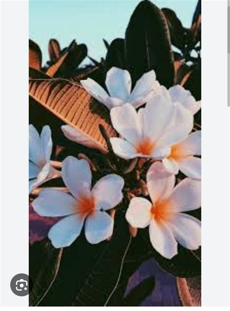 how to grow your linkedin network with simple steps fouzia shahzad 🌟 posted on the topic