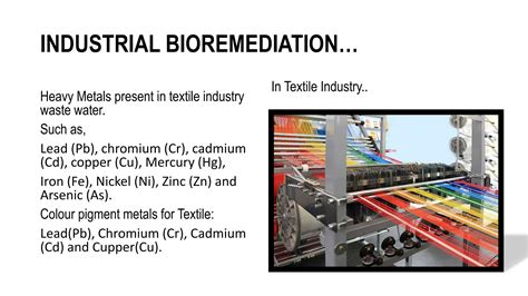 Presentation Bioremediation For Treatment Of Textile Effluentpptx