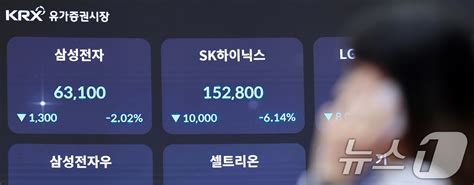 삼성전자 1년 최저가하이닉스 6대 하락 뉴스1
