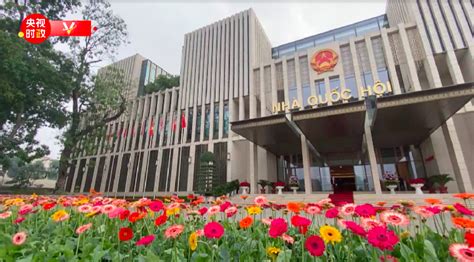 Си Цзиньпин провел встречу с председателем Национального собрания Вьетнама Выонг Динь Хюэ Cgtn