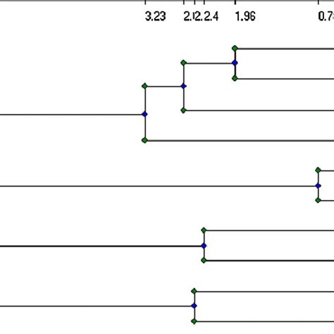 Hierarchical Cluster Analysis Dendrogram Showing Three Clusters Of Site Download Scientific