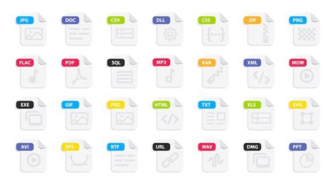 Premium Vector File Type Icon Set Popular Files Format And Document
