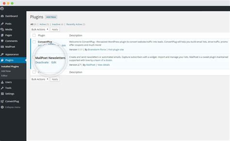 Mailpoet And Wordpress Popup Plugin Convertplug