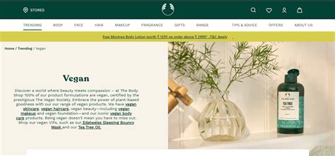 15 Customer Segmentation Examples How To Segment Clickup