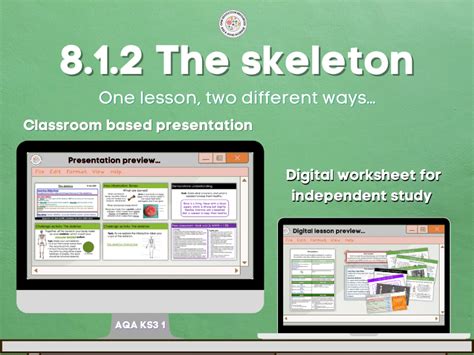 The Skeleton Lesson Bundle AQA KS Teaching Resources