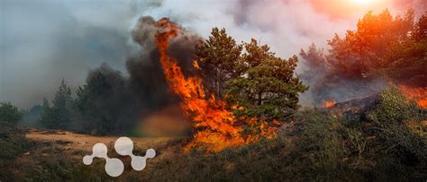 Lora Plus™ Lr2021 Fourth Generation Lora® Ip For Fast Long Range Communication Flrc Semtech