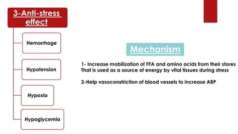 Functions Of Cortisol Ppt