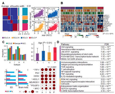 Data Distribution According To Tp53rb1 Mut Mutation Status In The