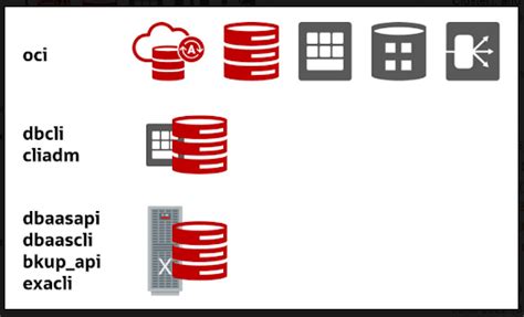 Oracle Base Database Patching To 1917 Using Dbcli Eclipsys