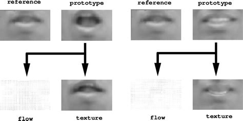 Figure 1 From Learning Based Approach To Estimation Of Morphable Model