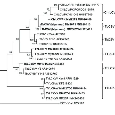 Phylogenetic Analysis Based On The Complete Nucleotide Sequences Of Download Scientific Diagram