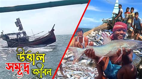 উত্তাল গভীর সমূদ্রে জেলেদের জীবন কতটা ঝুকিপূর্ণ দেখুন সমূদ্র জীবন